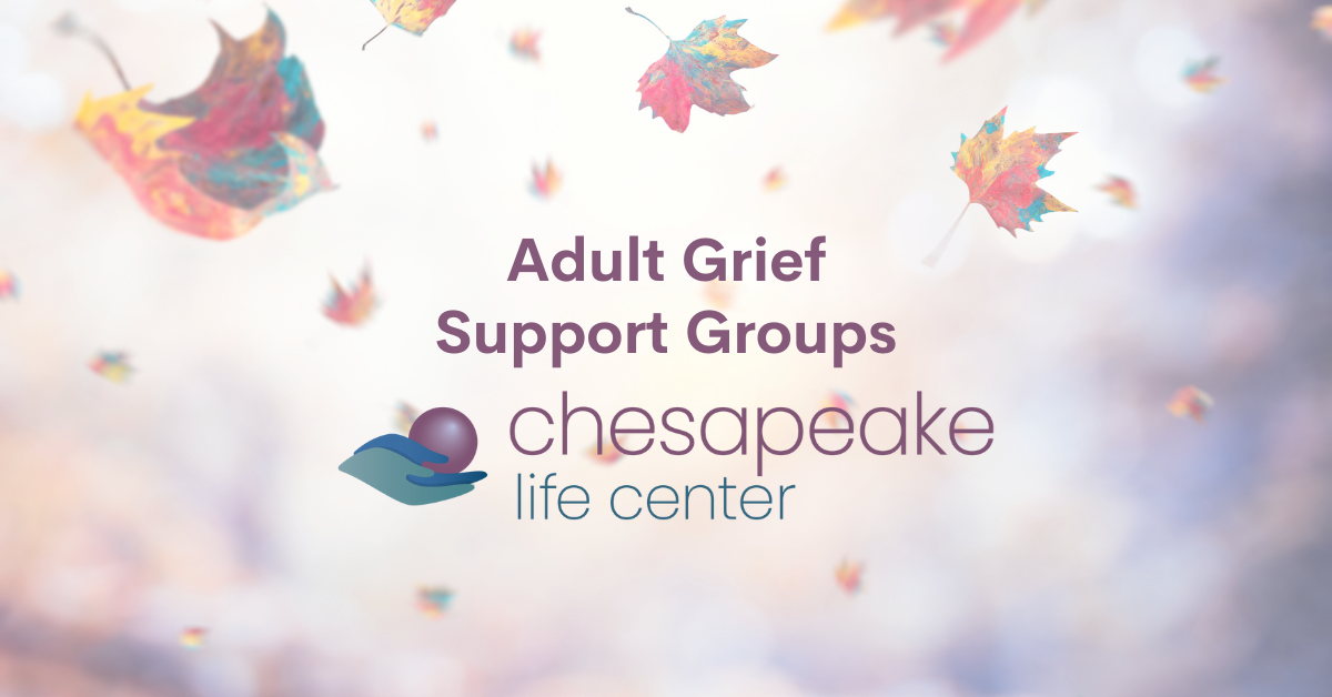 Adult grief programs meeting this fall at Chesapeake Life Center