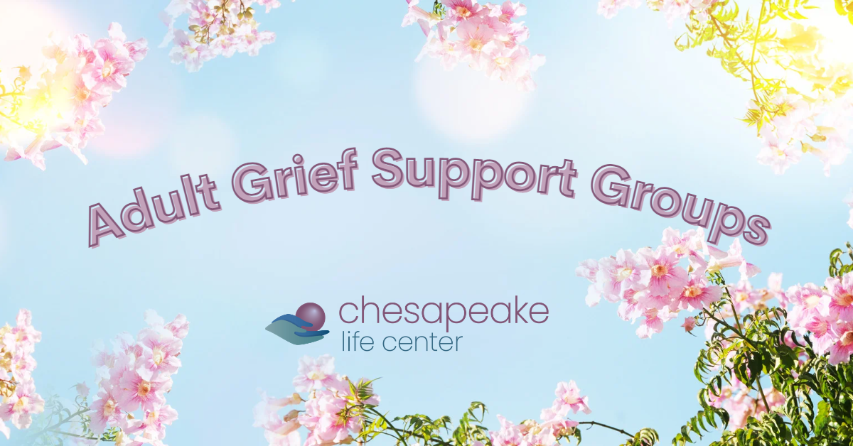 Adult grief support programs meeting this summer | HOC