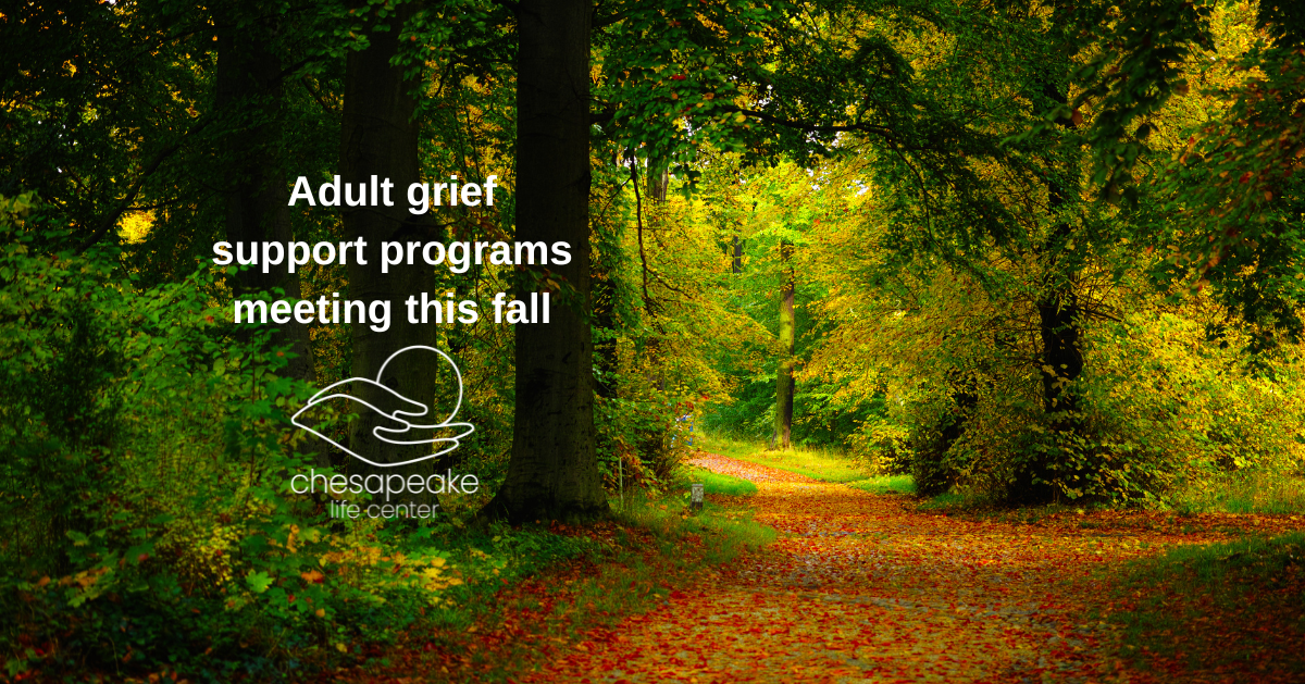 Chesapeake Life Center adult grief programs meeting this fall
